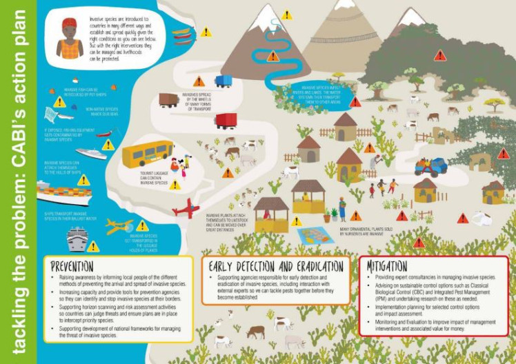 Invasive species – telling the story of the hidden threat to ...