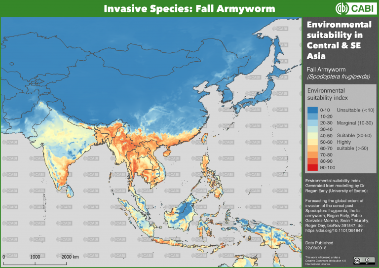 Where next for fall armyworm? – Invasive Species Blog