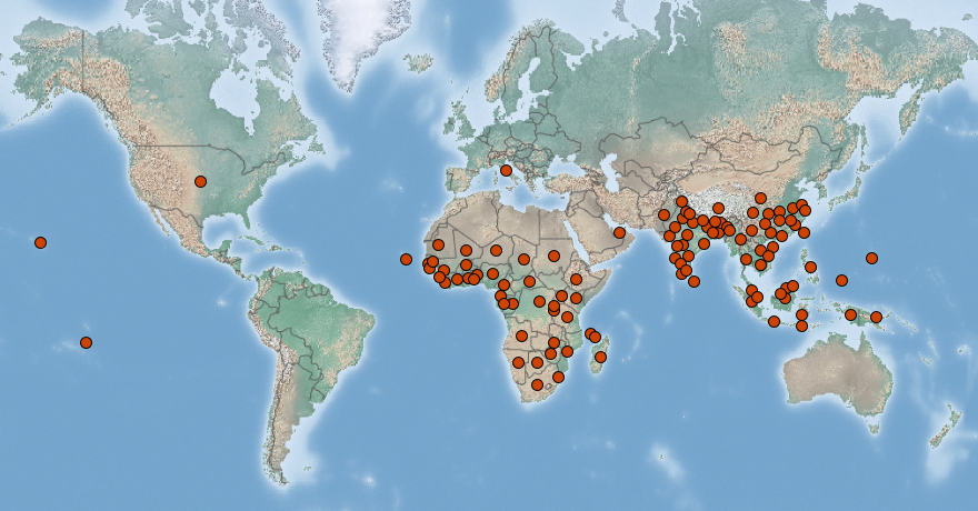 Major invasive pest found for the first time on agricultural land in ...