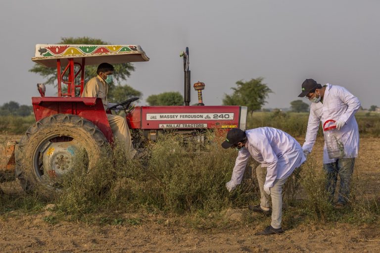 When astronomers meet ecologists: how remote sensing can tackle ...