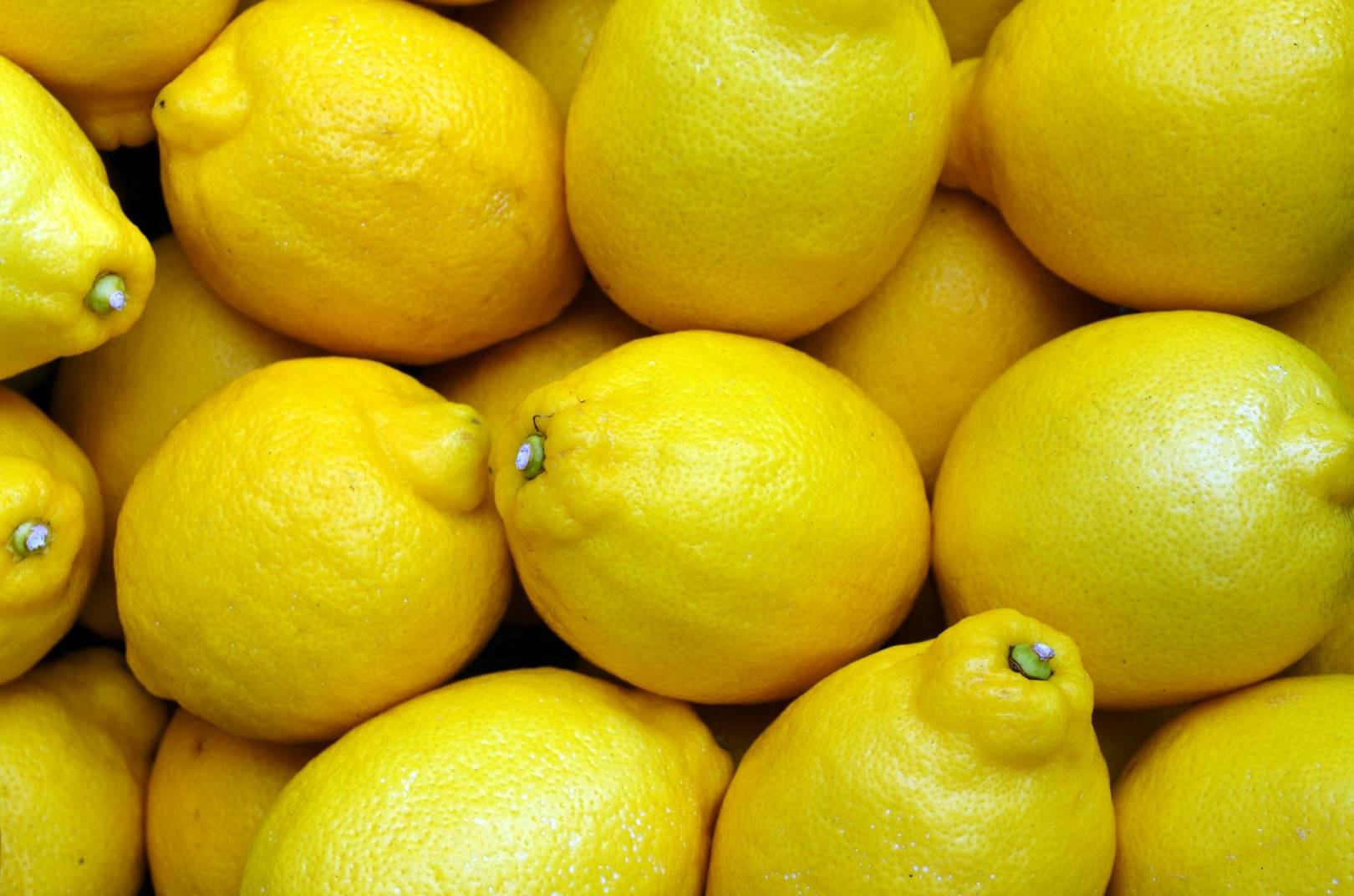 Asian Citrus Greening Disease The Threat To Africa s Citrus Trade asian-citrus-greening-disease-the-threat-to-africa-s-citrus-trade