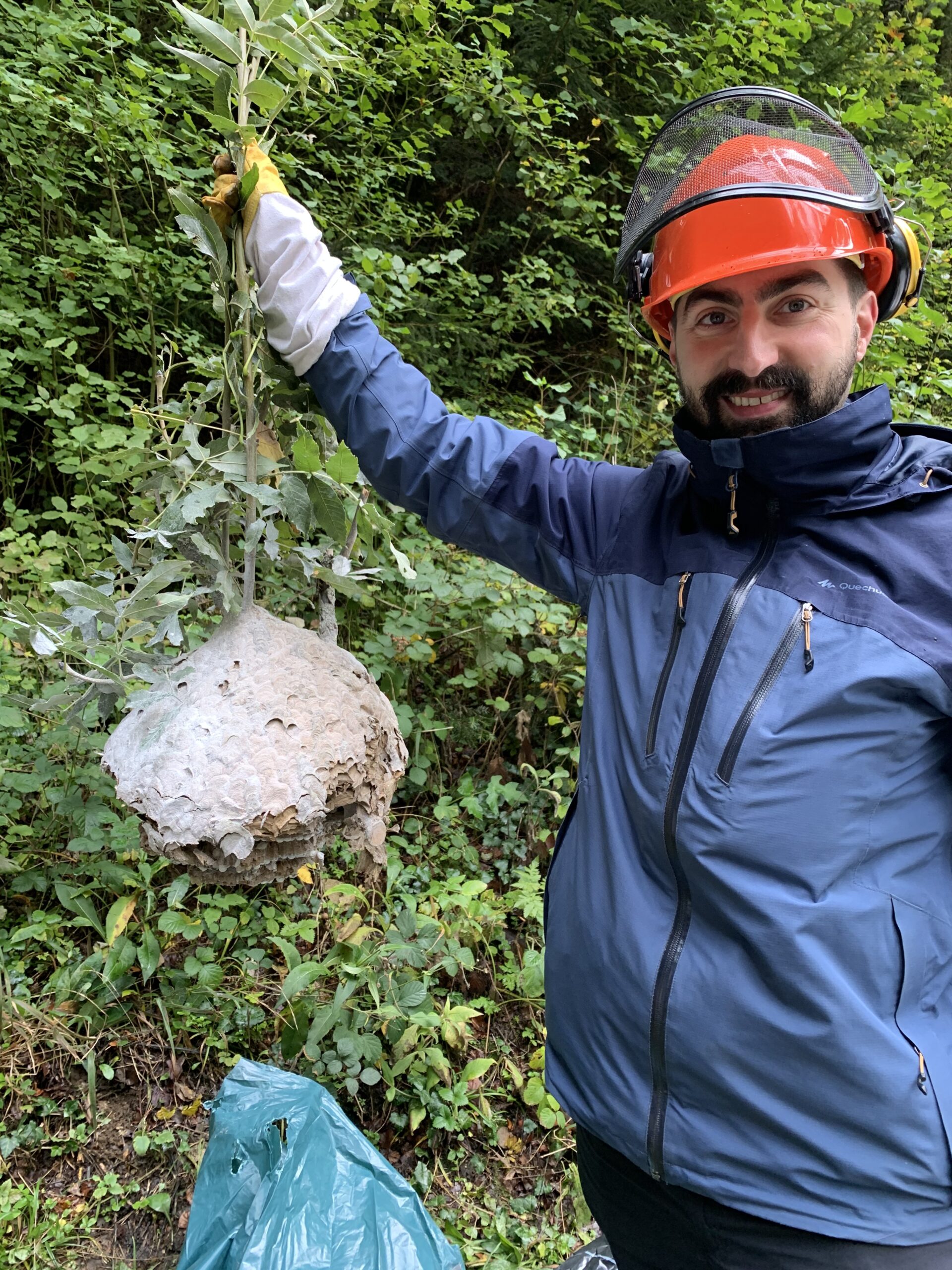 Countering the spread of the Asian hornet in Europe – Invasive Species Blog